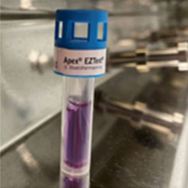 生物指示剂